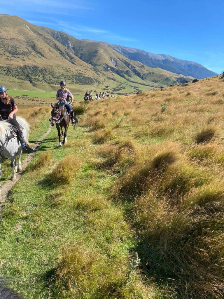 Lake Coleridge Nearby Activities - Quartz Hill Station